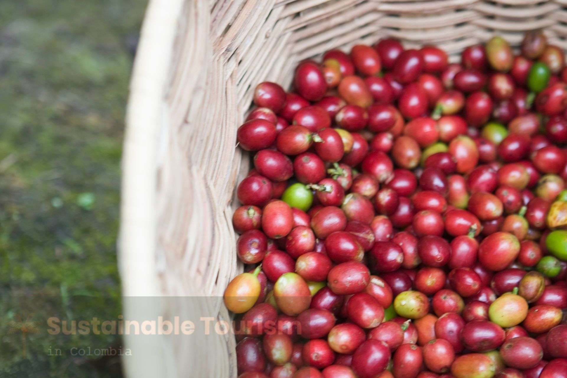 History & Culture - Coffee Triangle - Sustainable Tourism Colombia