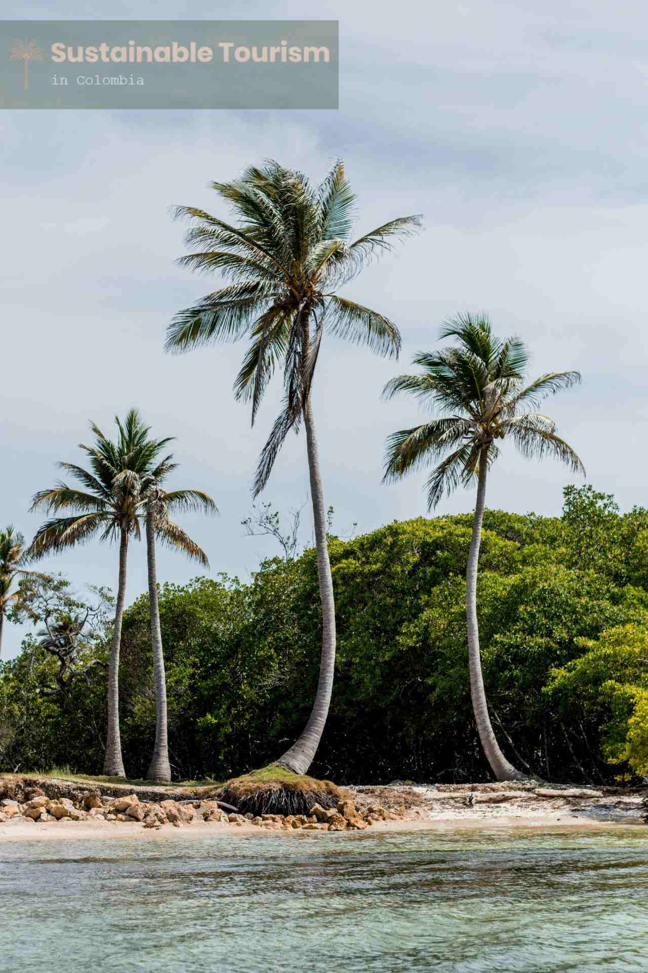 Región Caribe de Colombia: Un Paraíso de Biodiversidad