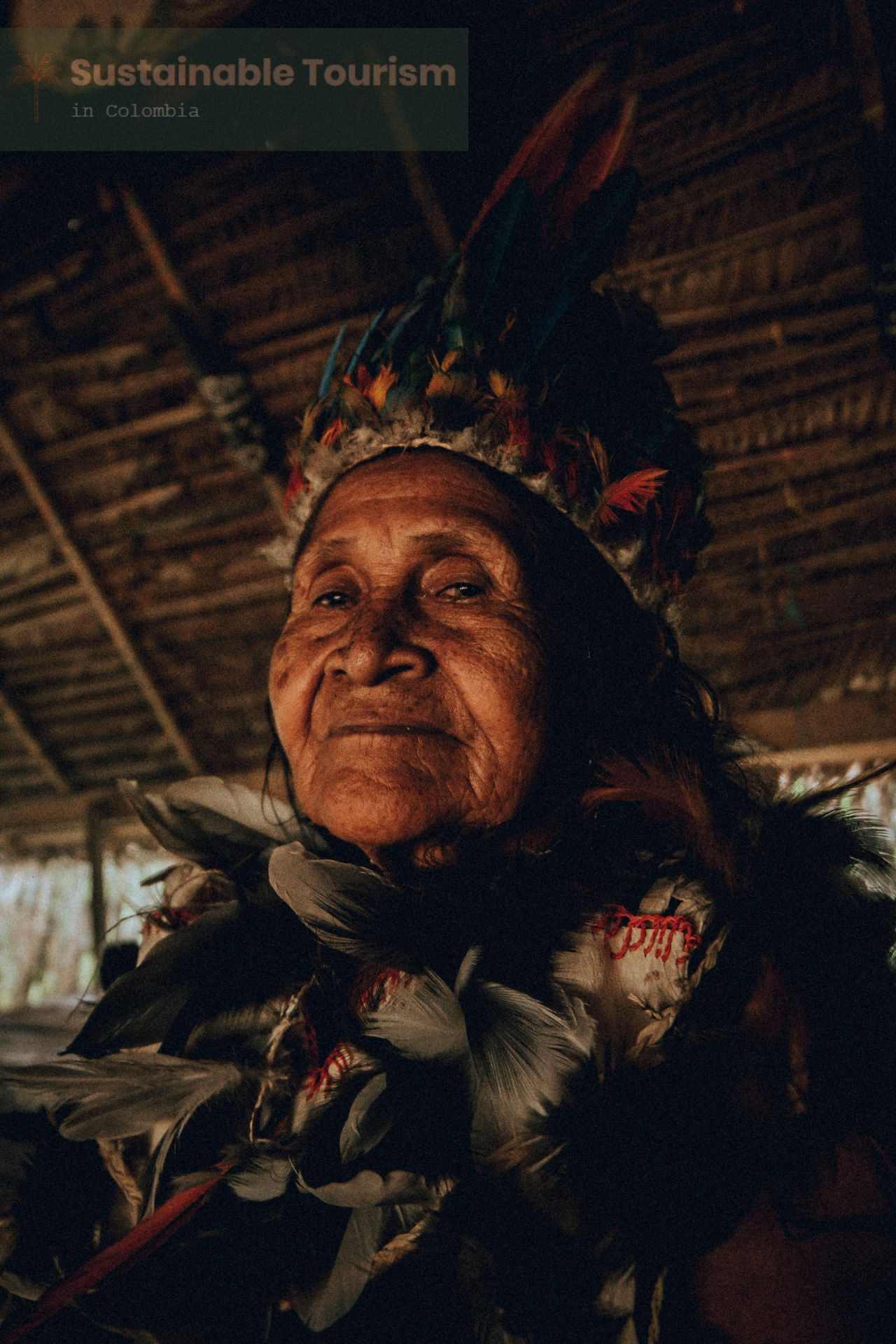 🌿 Descubre el Amazonas Colombiano: Un Paraíso Natural 🦜🐆
