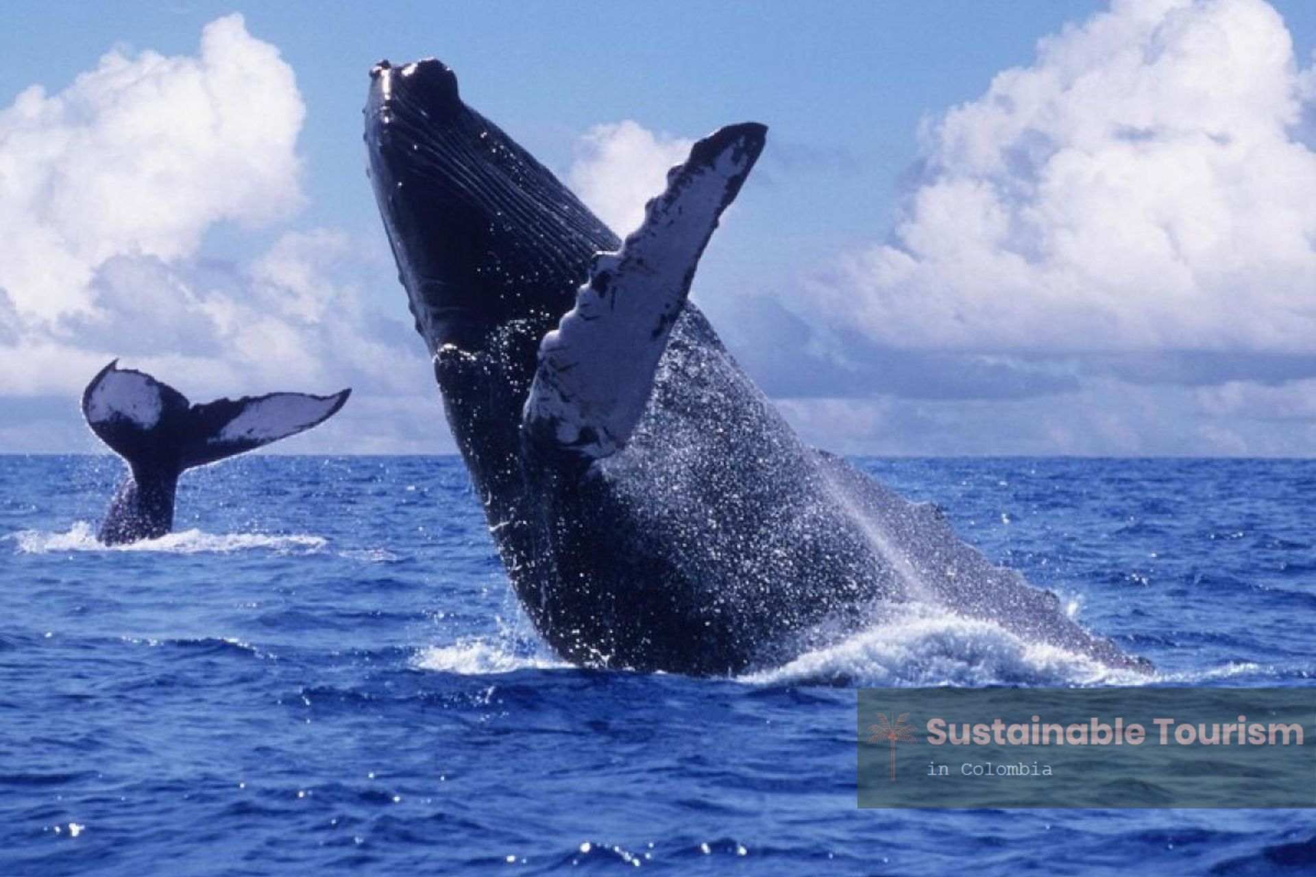 Regions of Colombia - Sustainable Tourism Colombia